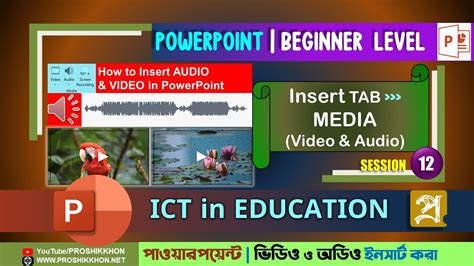 How To Insert Video And Audio In PowerPoint PowerPoint Free Training Session YouTube