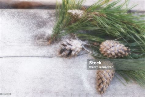 새 해의 크리스마스 구성입니다 소나무는 오래 된 나무 바탕에 소나무 콘과 오래 된 효과의 분기입니다 공간 복사 0명에 대한 스톡