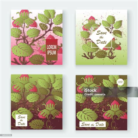 딸기 패턴 디자인 템플릿 제품 손으로 그린 레드 베리 귀여운 트렌디한 어두운 배경에 꽃이 만발한 녹지 덤불 그래픽 일러스트레이션 웨딩 초대장 포스터 카드 표지 제품 벡터 0