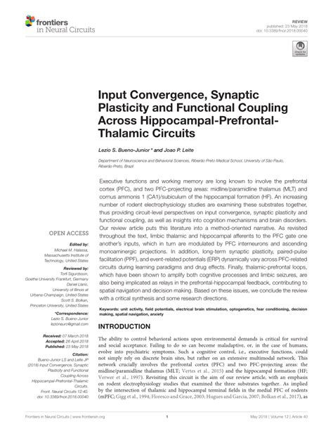 pdf input convergence synaptic plasticity and functional coupling