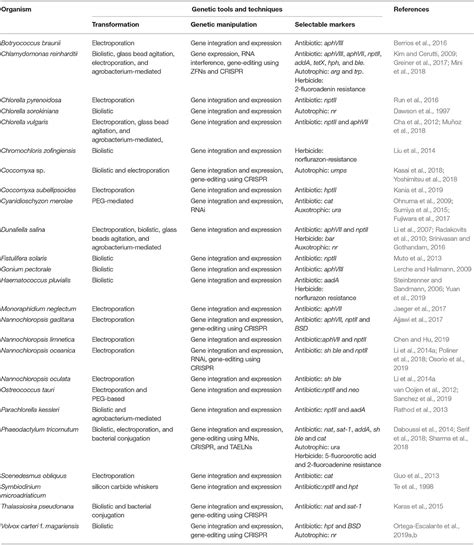 Frontiers Bioengineering Of Microalgae Recent Advances Perspectives And Regulatory
