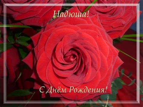 Надя с днем рождения картинки гиф Фотоподборки 1