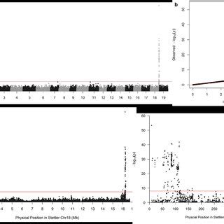 Sex Association Analysis With Markers From The V1 Main Genome Of Download Scientific Diagram