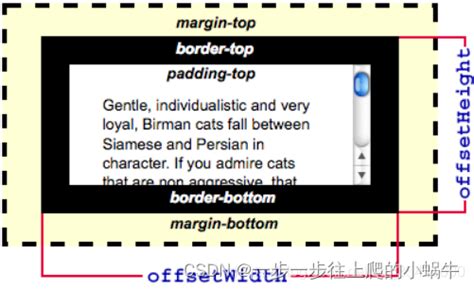 Vue实现聊天框自动滚动vue3里面聊天里面发消息怎么让消息一直显示最下面页面也会滚动到最下面 Csdn博客