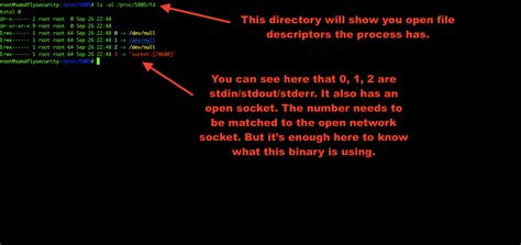 Basic Linux Malware Process Forensics For Incident Responders