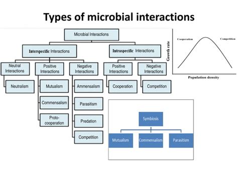 Microbial Interactions Xvdjdkkdkdkdkdldk Ppt