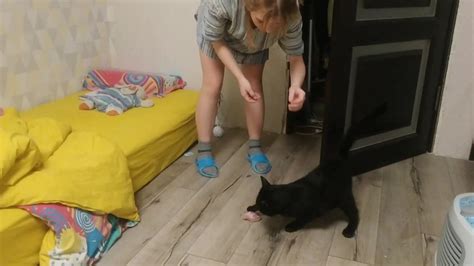 Кошачья работа Cat work Nudity Sexually and Explicit Video on YouTube youncensored com