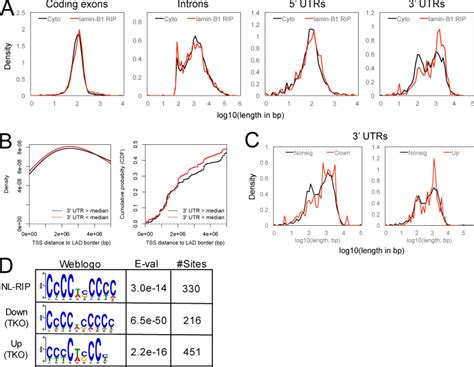 An Apex2 Proximity Ligation Method For Mapping Interactions With The Nuclear Lamina Abstract