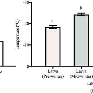 SCP Mean SEM For Different Life Stages Of S Noctilio A The SCP Download Scientific