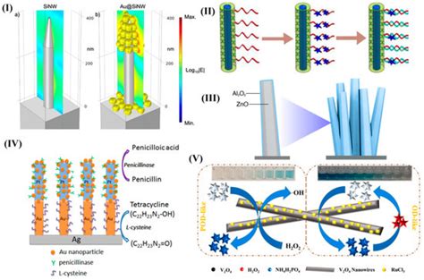 recent applications and prospects of nanowire based biosensors