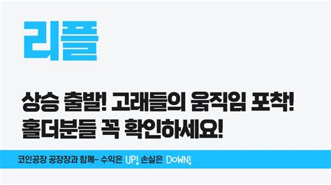 리플 상승 출발 고래들의 움직임포착홀더분들 꼭 확인하세요 Youtube