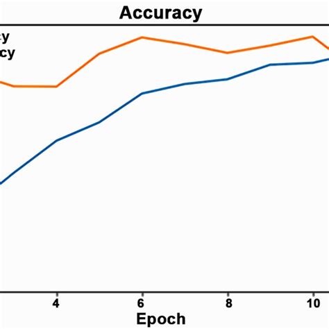 The Total Architecture Of Efficientnet B5 [21] Download Scientific Diagram