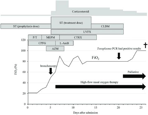 Clinical Course Of The Patient The FiO 2 Conversion Before High Flow Download Scientific