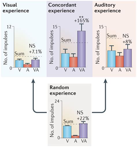 the development of multisensory integration depends on concordant
