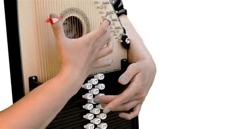 Learning The Autoharp Quick Tips And Common Questions For Beginners