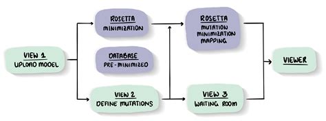 Mutationexplorer