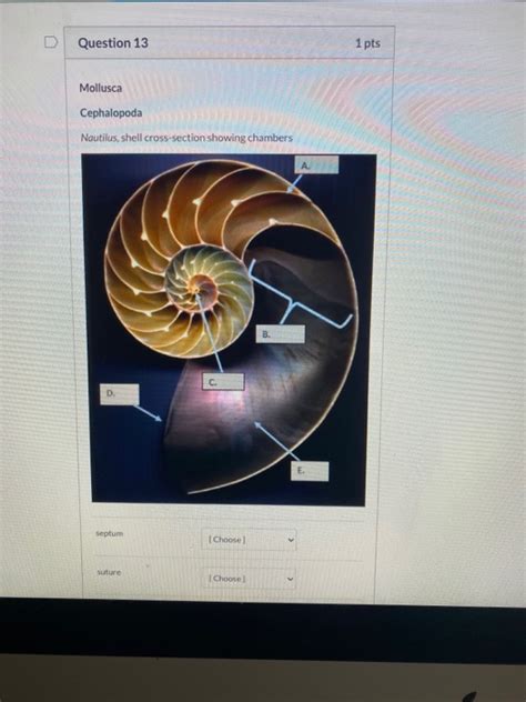 Solved I Need The Best Answer For Question And To Chegg Com