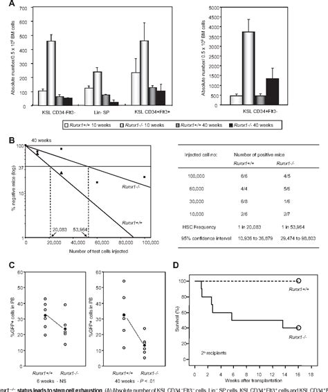 Figure 1 From Stem Cell Exhaustion Due To Runx1 Deficiency Is Prevented