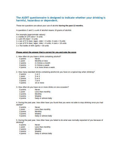 24 Audit Questionnaire Templates Pdf Doc