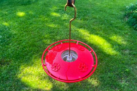 The 8 Best Hummingbird Feeders According To Our Testing