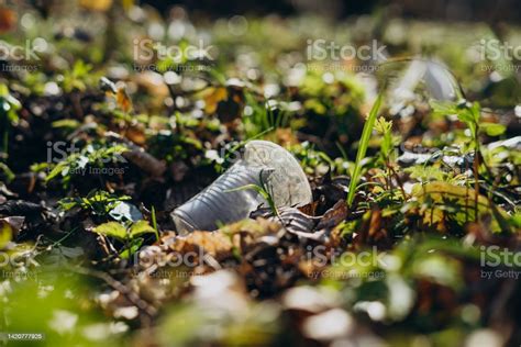 봄 숲에있는 플라스틱 컵 자연의 플라스틱 쓰레기 쓰레기가있는 봄 숲 생태 재앙 쓰레기로 인한 환경 오염 0명에 대한 스톡 사진