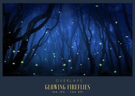 Fireflies Glowing Particle Overlays Add Ons Graphicriver