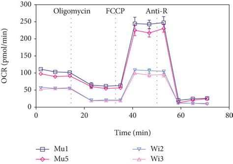 Detection Of Mitochondrial Ocr In Mutant And Control Cell Lines A Download Scientific