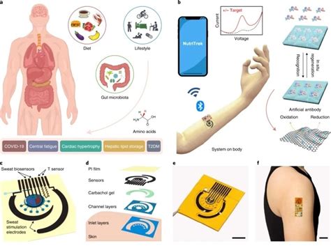 Wearable Electrochemical Biosensor For Metabolic Monitoring