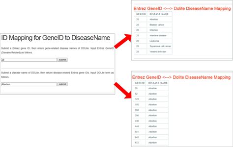 Schematic Workflow Of Annotating Human Genes And Diseases Download