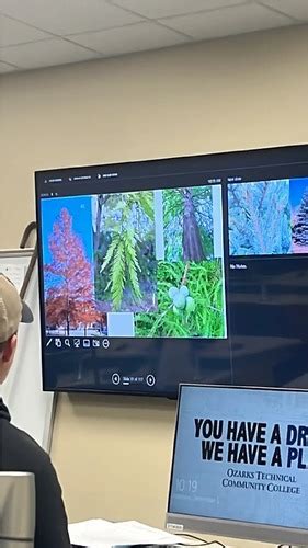 Tree And Shrub Quiz Flashcards Quizlet Tree And Shrub Quiz Flashcards Quizlet