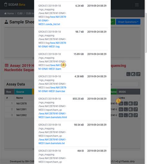 Igv Opening Session And Files — Sodar 114 Documentation