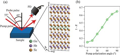Optical Pump Probe Setup And Polarization Dependent 1 − R Of The