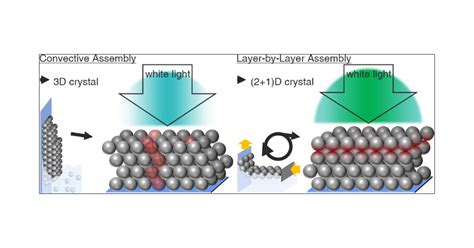 Quantitative Optical And Structural Comparison Of 3d And 21d Colloidal Photonic Crystals
