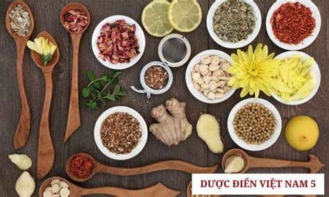 Dược điển Việt Nam 5 Tài Liệu Quan Trọng Của Ngành Dược