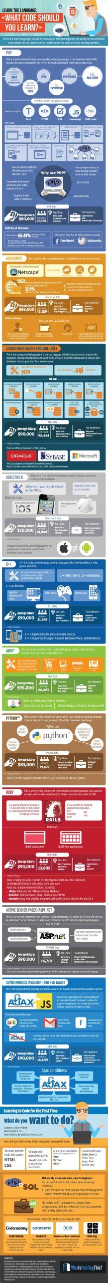 Programming Language Comparison Which One Is Best To Learn Why Infographic