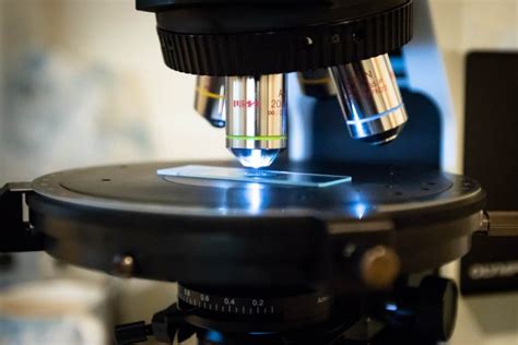 What Colour Is Asbestos Global Asbestos Audits