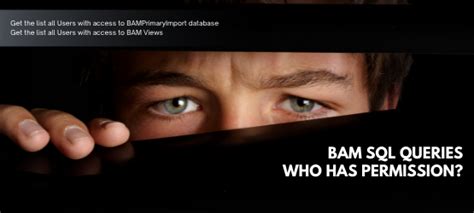 Biztalk Server Bam Sql Queries Checking Who Has Permission Sandro