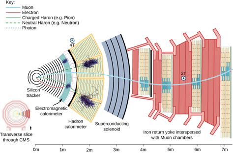 Particle Accelerator Diagram