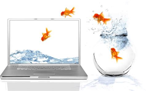 Export Data From Hive Table To Oracle Database My Big Data World