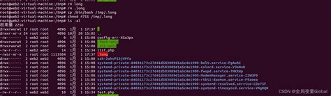 linux权限维持之suid后门、ssh后门 ssh后面 csdn博客