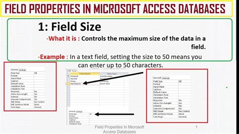 Field Properties In Microsoft Access Databases Simple Explanations And Examples Youtube