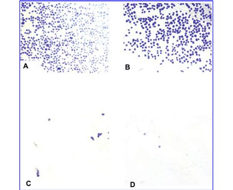 Selective High Affinity Ligands Shal Binding In Streptavidin Coated Download Scientific