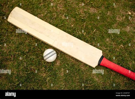Cricket Bat And Ball Photos At Darcy Poninski Blog