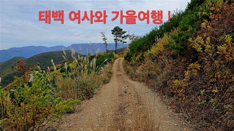 태백 여사와 만산홍엽 억세꽃 가을여행 싸돌아 댕깁니다 큰산단풍 울긋불긋 굽이굽이 산길탐방 ᆢ Youtube