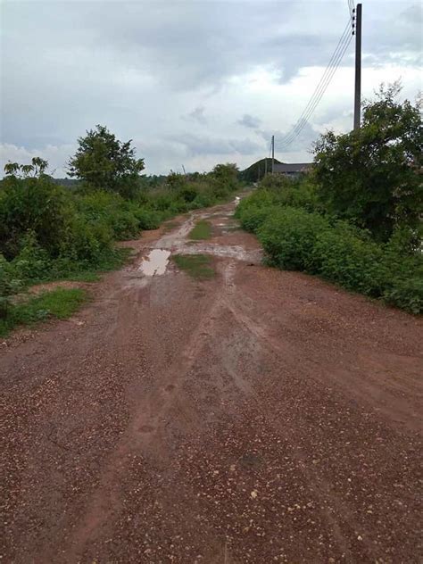 ປະກາດຂາຍດິນນາ ບ້ານ ອຸດົມຜົນ ເມືອງ ໄຊທານີ ນະຄອນຫຼວງວຽງຈັນ