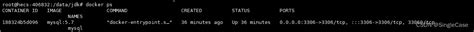 Docker部署mysql数据库 Csdn博客