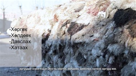 8 Арьс ширэн түүхий эдийн чанарыг хамгаалах Хөлдөөх арга Youtube