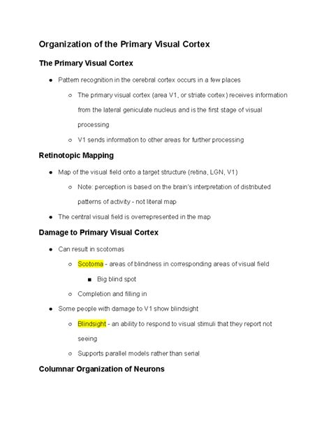 lesson eight cortical visual processing organization of the primary