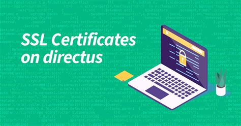 learn directus today