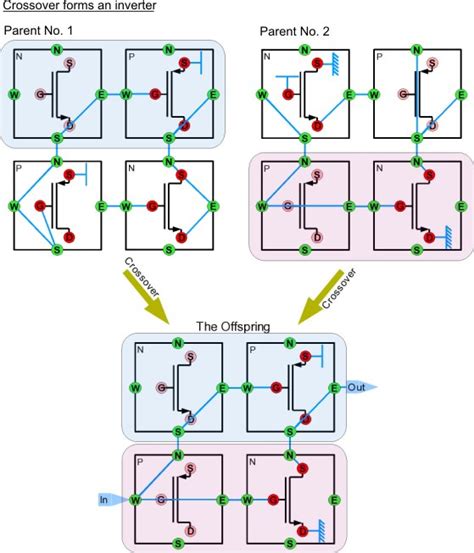 Evolutionary Algorithms